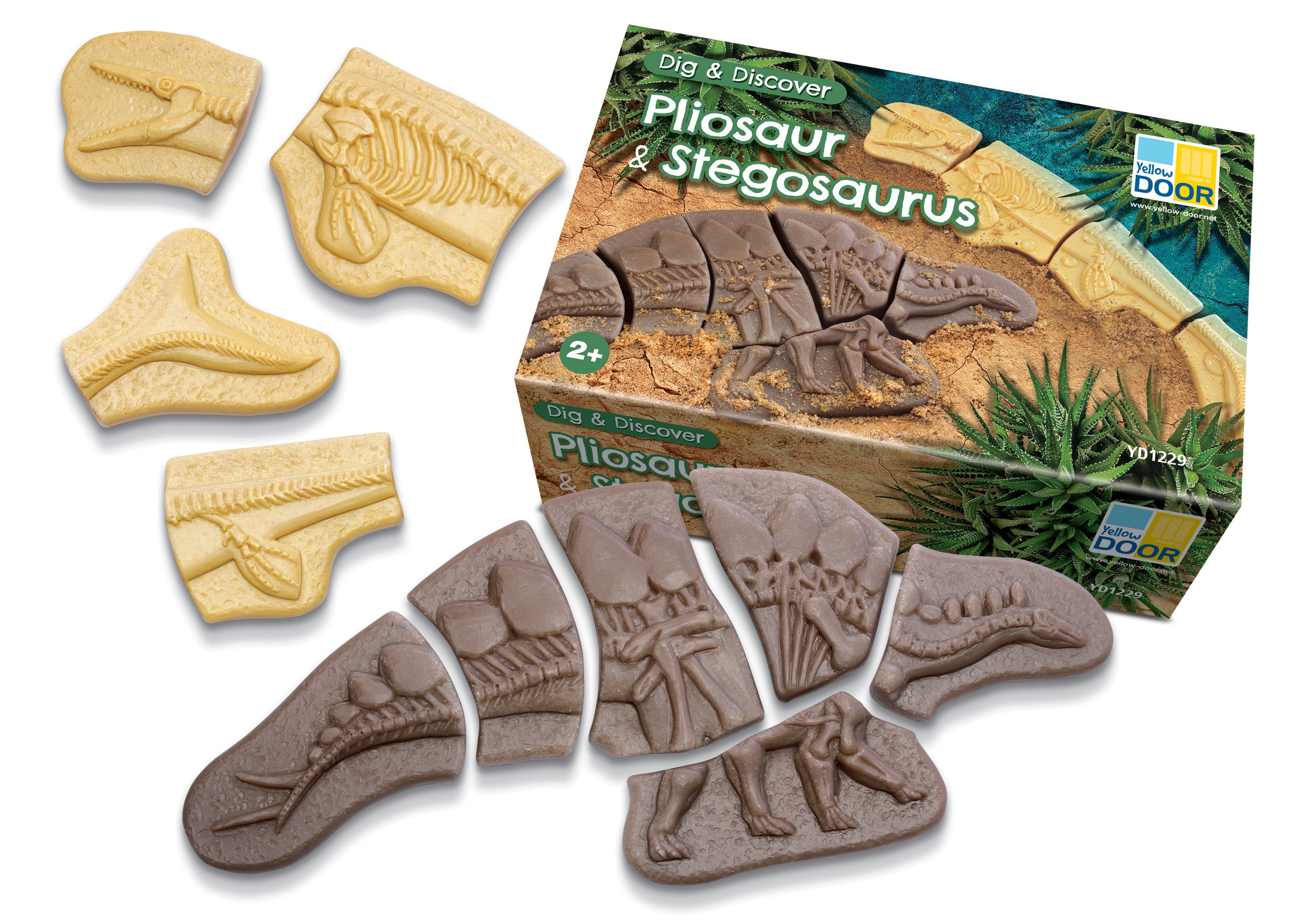 Dig and Discover – Pliosaur & Stegosaurus – Chequered Fox