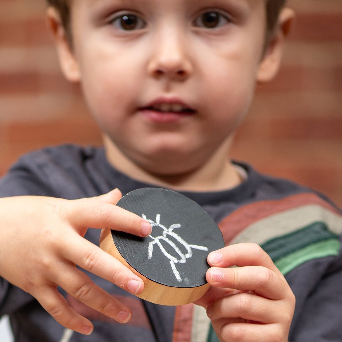 Minibeast Treasure Hunt – Chequered Fox