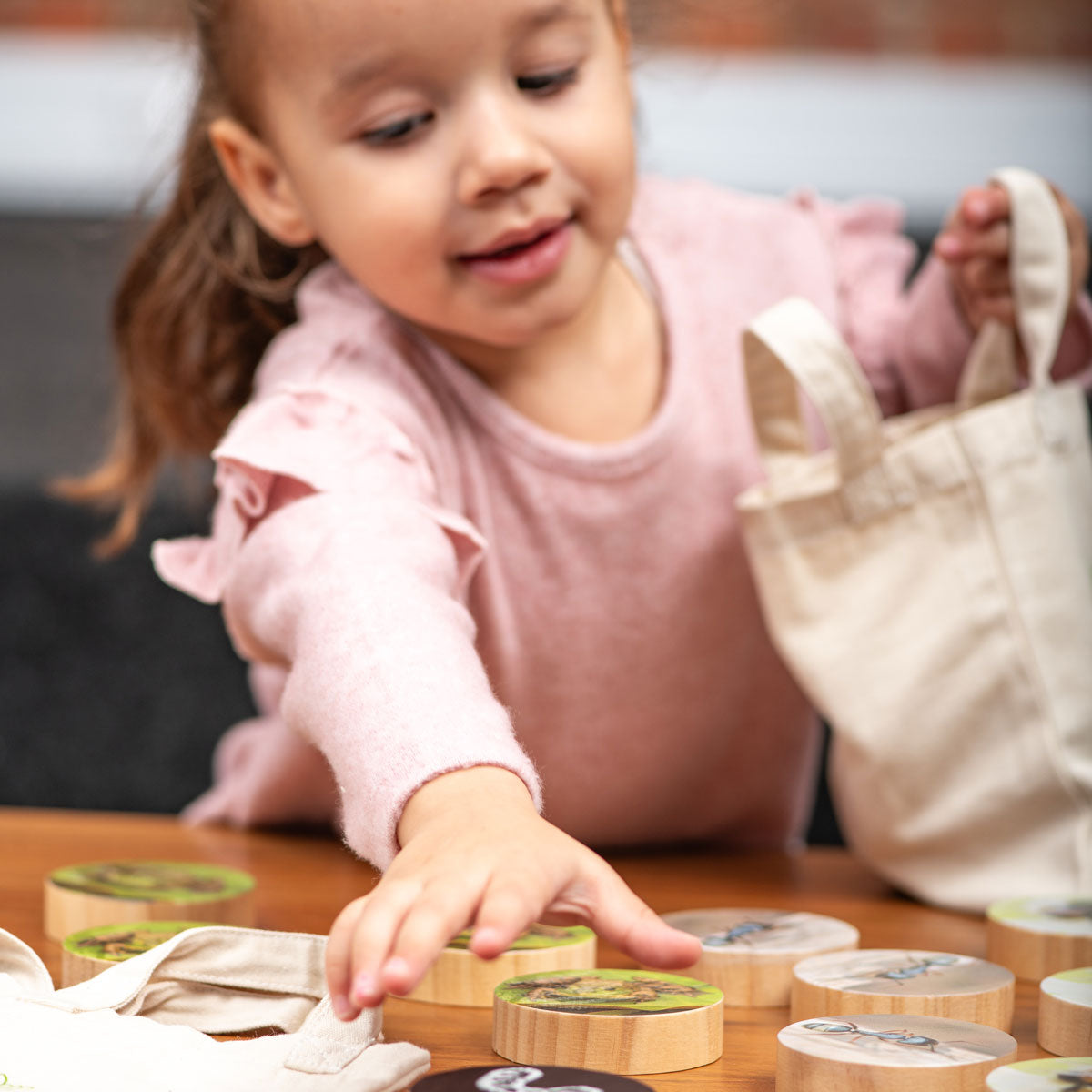 Minibeast Treasure Hunt – Chequered Fox